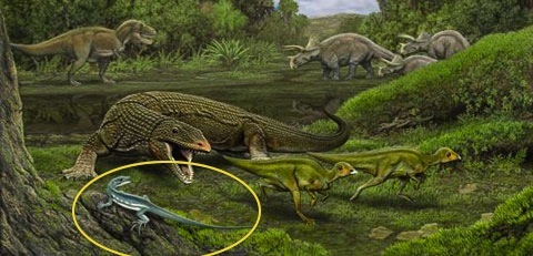 Dinosaur Era Lizard Gets Named After President Obama Kids News Article